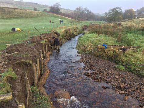 Willow Spiling Riverbank Stabilisation
