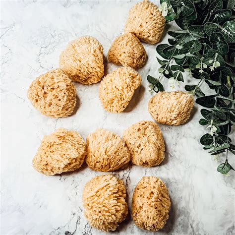 Dead Sea Sponge Sacksy Thyme