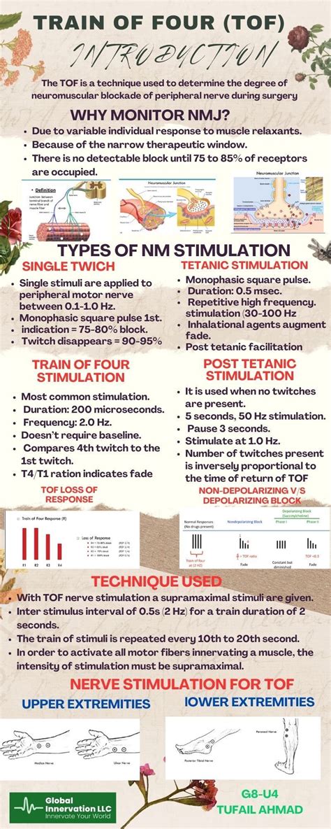 Tufail Ahmads Train Of Four Infographic For Neurophysiology Faisal