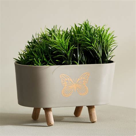Buy Taria Rectangular Potted Plant With Legs 14x8x14 Cm Online In Uae