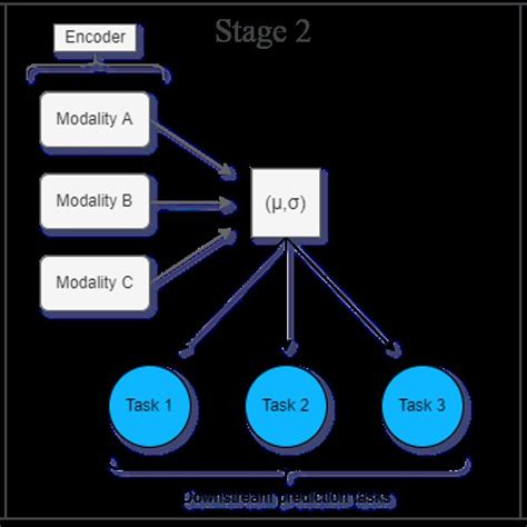 Combining Data Modalities And Multitask Learning Architecture An Download Scientific Diagram