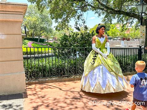 World Princess Week Magicshot The Disney Food Blog