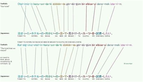 Turkish Japanese Syntax