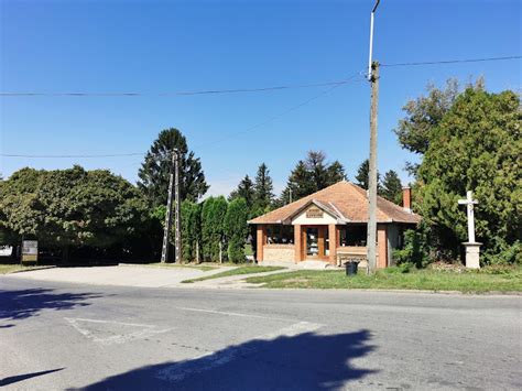 16 értékelés Erről Holub László Virágbolt Virágárus Tamási Tolna