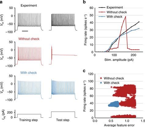 Addressing Depolarization Block During Optimization The Same Example