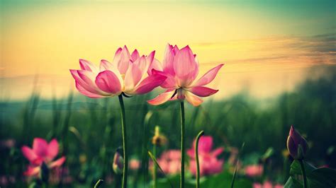 High Quality Desktop Wallpapers Top Free High Quality Desktop