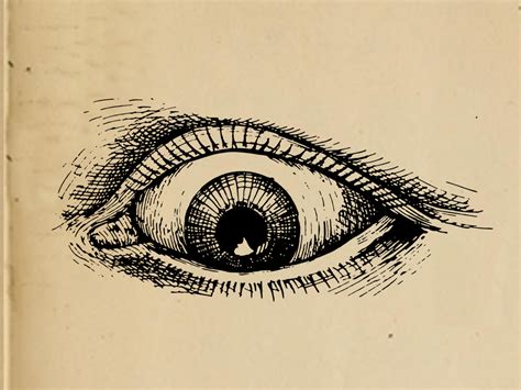 Jack Mcnamee Company Moddb