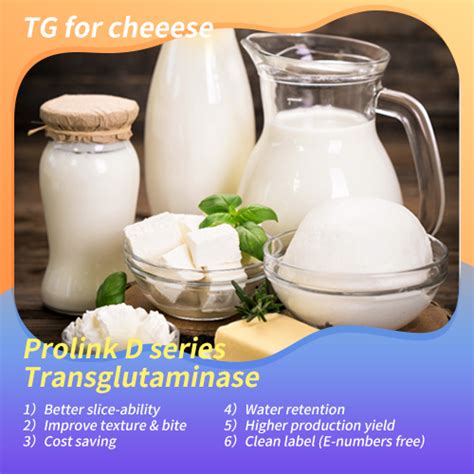 Powder Transglutaminase Prolink D Cheese At Best Price In Shanghai