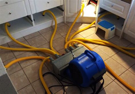 Applied Structural Drying Executive Water Restoration