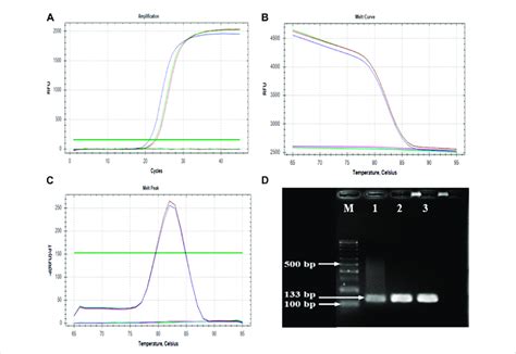 Parameters Of Amplification And Melting Analyses A Sharp