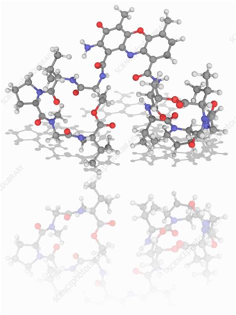 Actinomycin D Dactinomycin Drug Molecule Stock Image F0169684