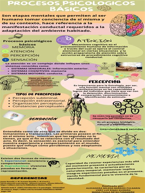 Infografía Procesos Psicologicos Basicos Descargar Gratis Pdf