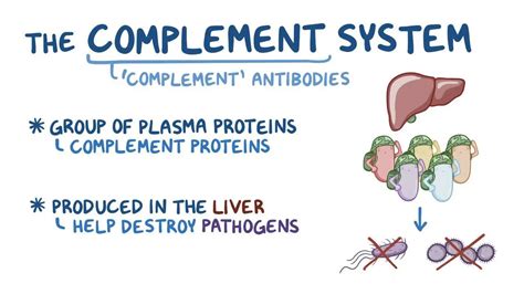 Video Complement System