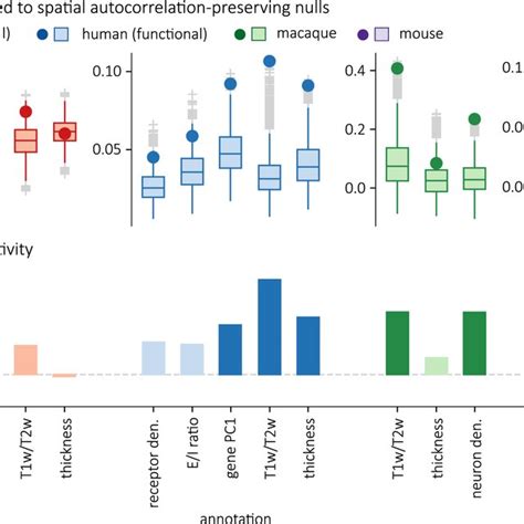 Standardized Assortativity Of Micro Architectural Annotations A Download Scientific Diagram