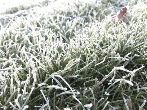 Millie Parry Parrymillie Twitter