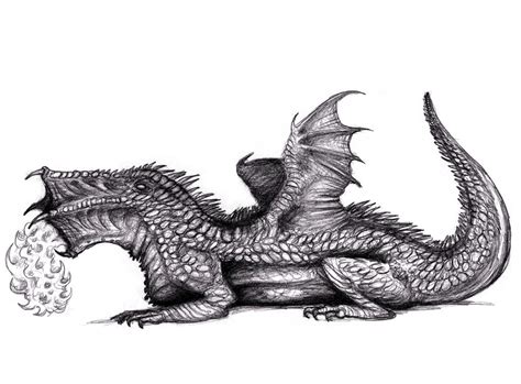 Dream Firespitter Dragon By Kingovrats On Deviantart