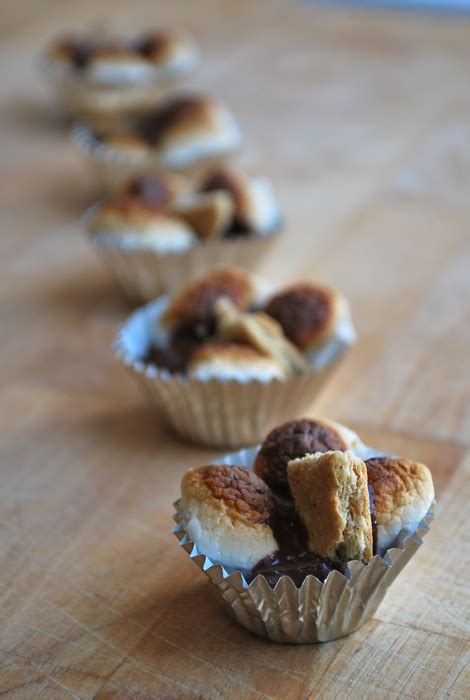 Bite Sized Smores Bites Edible Crafts