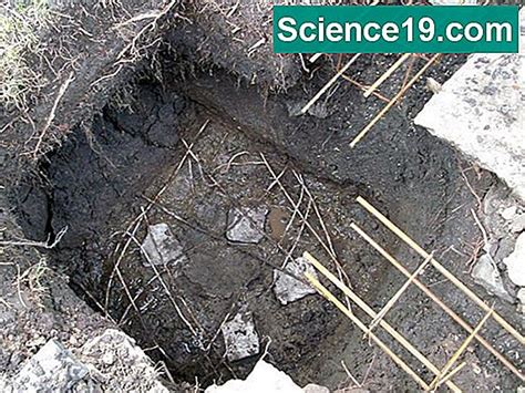 Предимства и недостатъци на хидростатичния скелет 💫 Научно Популярен