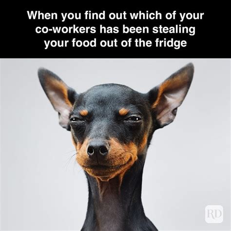 80 Funny Work Memes 2024 — Funny Co Worker Memes Youll Love