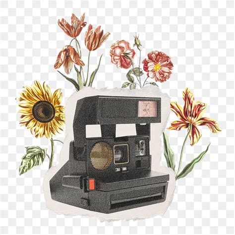 Analog Downloadable Film Design Resource Images Free Photos Png Stickers Wallpapers