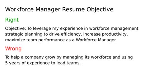 Top 16 Workforce Manager Resume Objective Examples
