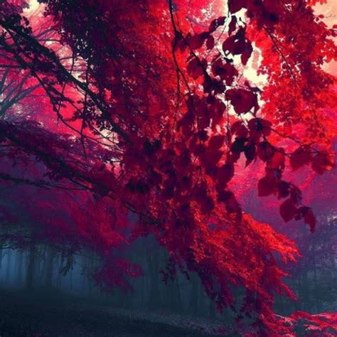 Vinnette Bruney Youtube