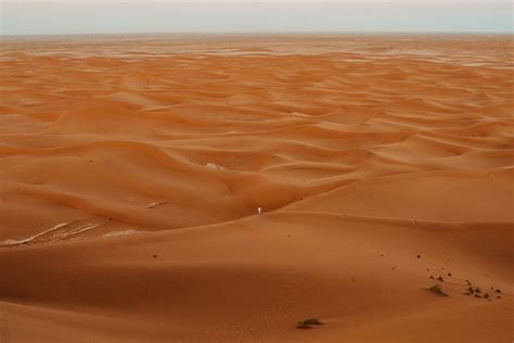 18 265 Fotos Y Imágenes De El Desierto Del Sahara Gratis · Banco De