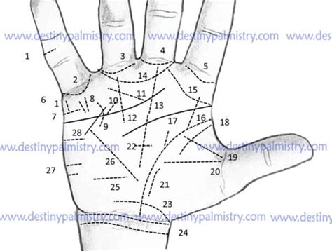 Minor Lines In Palmistry And Palm Reading Destiny Palmistry