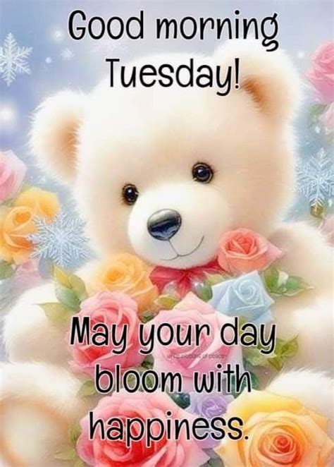 99 Cute Good Morning Happy Tuesday Images
