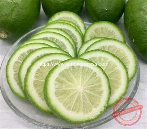 Automatic Lemon Chips Cutting Machine With Double Head Cutting Separating Function Lemon