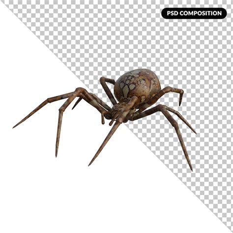 Premium Psd Spider Isolated 3d Rendering