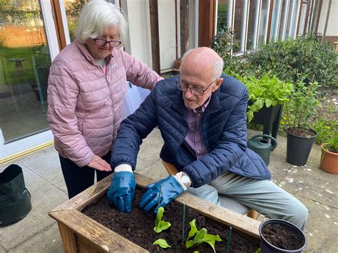 Planting Beetroot Shaw