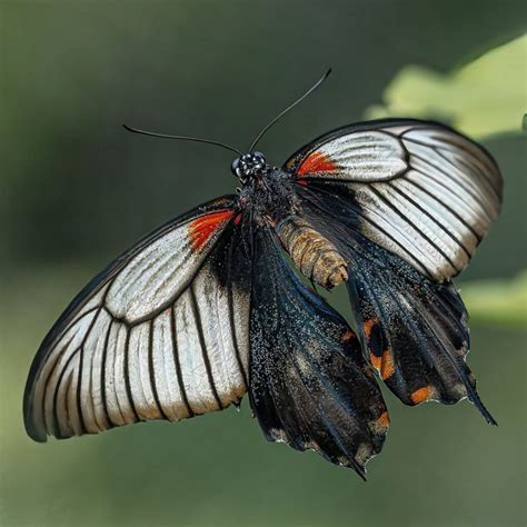 Nigel Fleming On Linkedin Dvfhttik