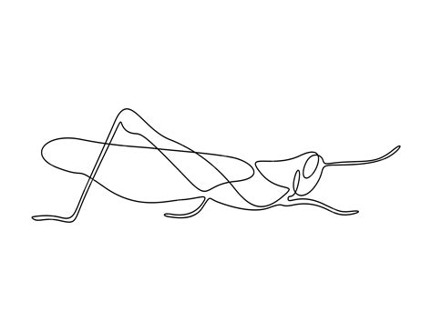 Premium Vector Grasshopper In One Continuous Line Drawing Vector