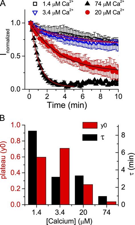 Rundown Of Ano1 Current In Excised Patches A Excised Patches Were