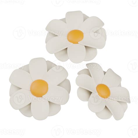 3d Render Daisy Illustration 52922642 Png