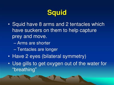 Ppt Squid Dissection Pre Lab Notes Powerpoint Presentation Free Download Id 2495817