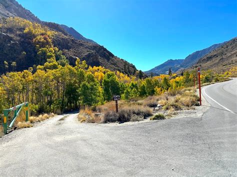 Bishop Creek And The Fragility Of Fall California Fall Color