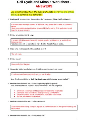 Ib Biology Topic 16 Cell Division Teaching Resources