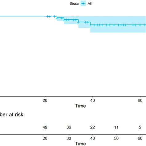 Anatomical Classification For Bicuspid Aortic Valves Abbreviations