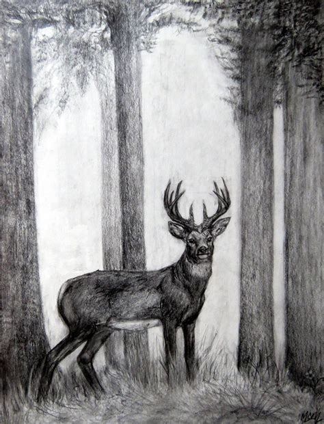 Drawing Marié Macrae