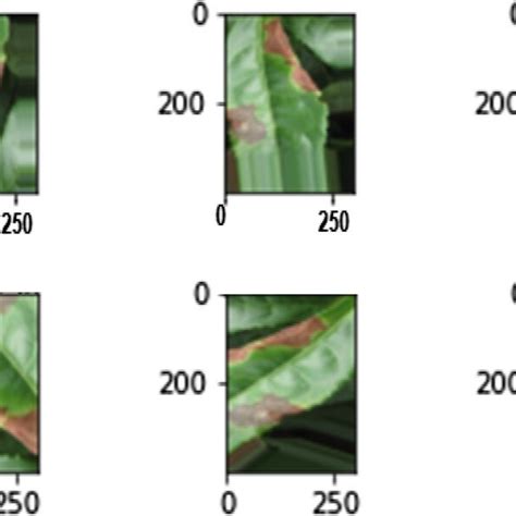 Augmented Image Of Tea Red Leaf Spot Disease Download Scientific Diagram