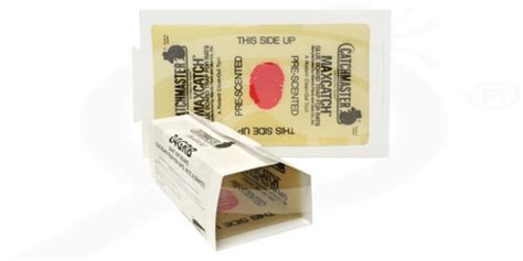 24grb Catchmaster Glue Trap Nexles Usa