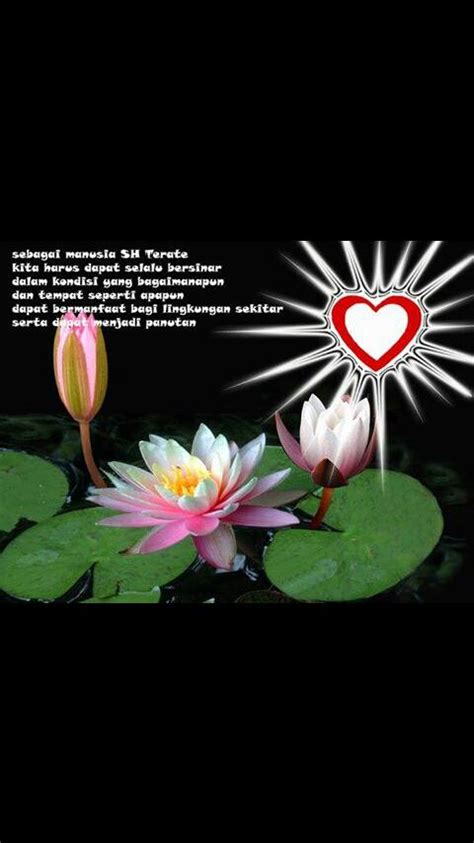 Menakjubkan 10 Gambar Bunga Terate Sh Gambar Bunga Indah