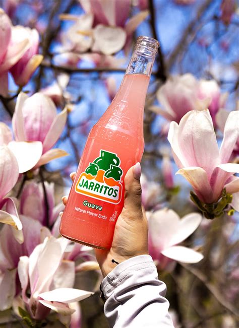 Jarritos Bottle Soda Jarritos Lime Soda 370ml — Tradewinds