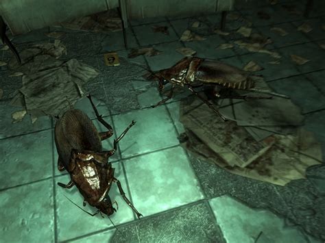 Image Radroaches Bcb Fallout Wiki Fandom Powered By Wikia