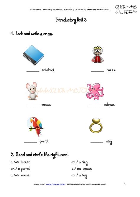 Grammar Exercises With Pictures Indefinite Article 3