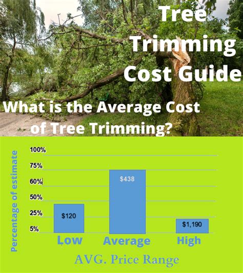Tree Trimming Pruning Cost Expert Services How Get Estimate Cost