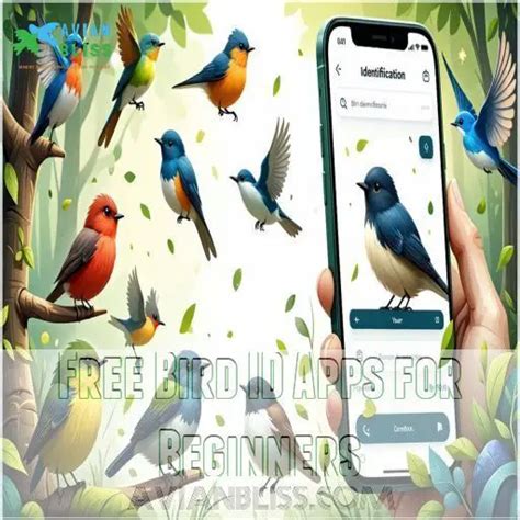 Bird Identification App For Beginners Top Picks And Tips