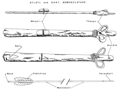 Atlatls Spear Throwers And Woomeras